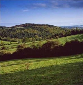 Forests of Ireland | Forestry Focus