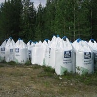 Establishing Forests - Forestry Focus