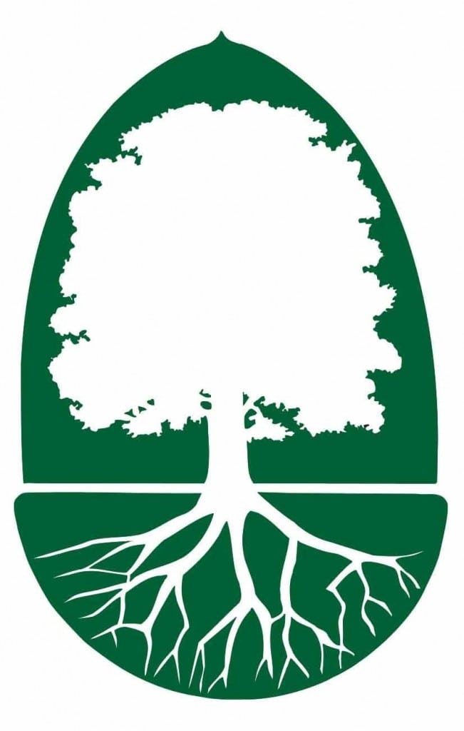 Society of Irish Foresters | Forestry Focus